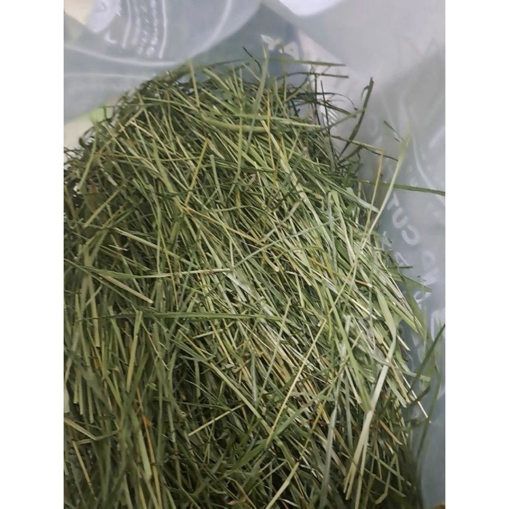 Timothy Hay For Rabbit Chinchilla Guinea Pig Food Dried Timothy Grass ...