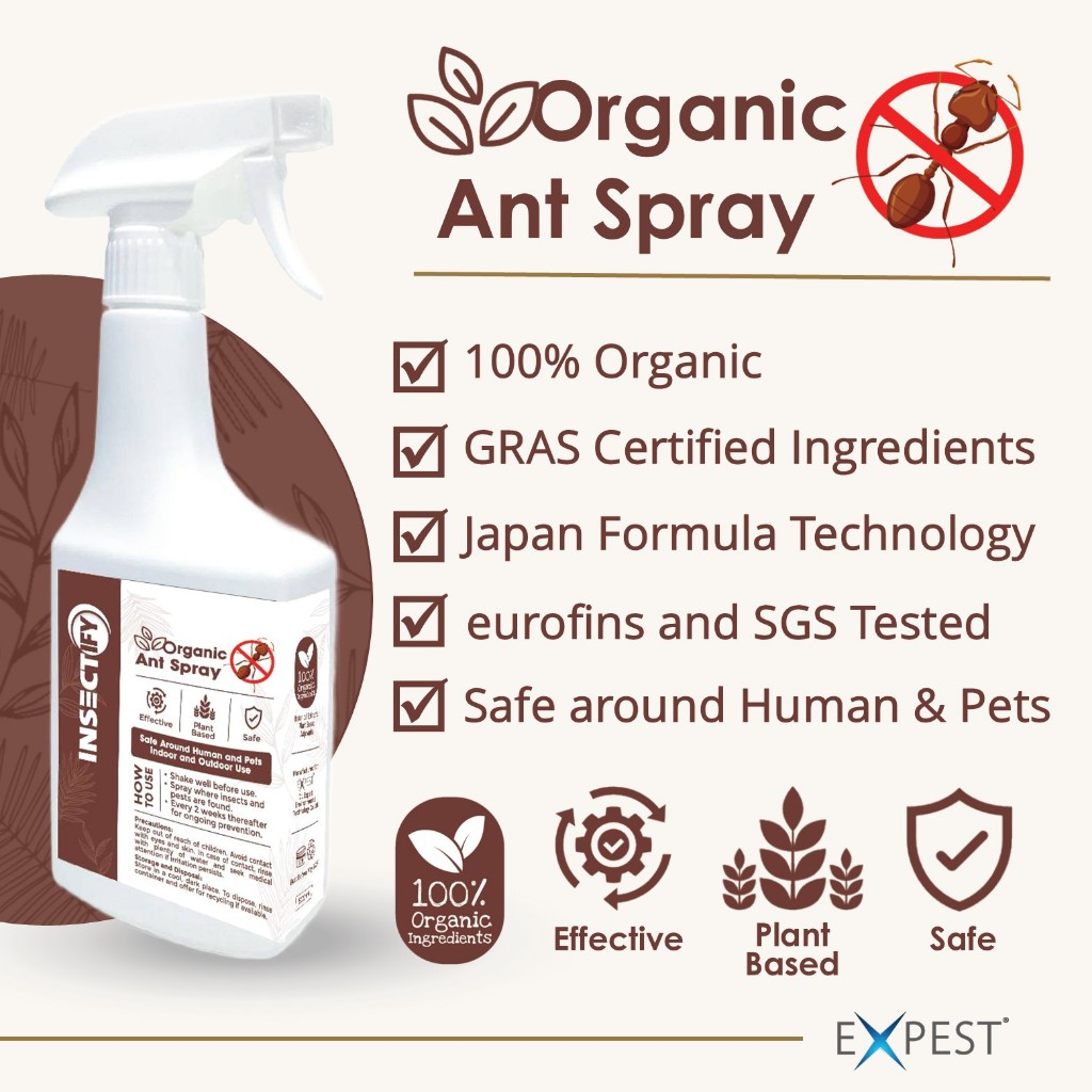 Insectify Organic Ants Spray 500ml ( No More Ants Infestation ...