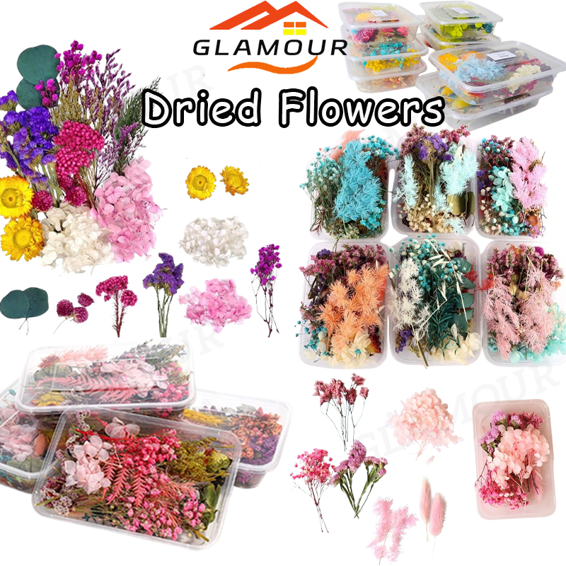 [SG] Dried Flowers Box Set Beautiful Preserved Flower Mix Flower and ...