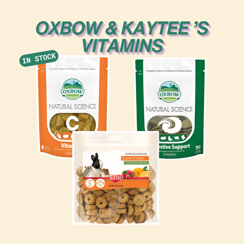 Oxbow & Kaytee Vitamin C & Digestive Support | For Guinea Pig, Rabbit ...