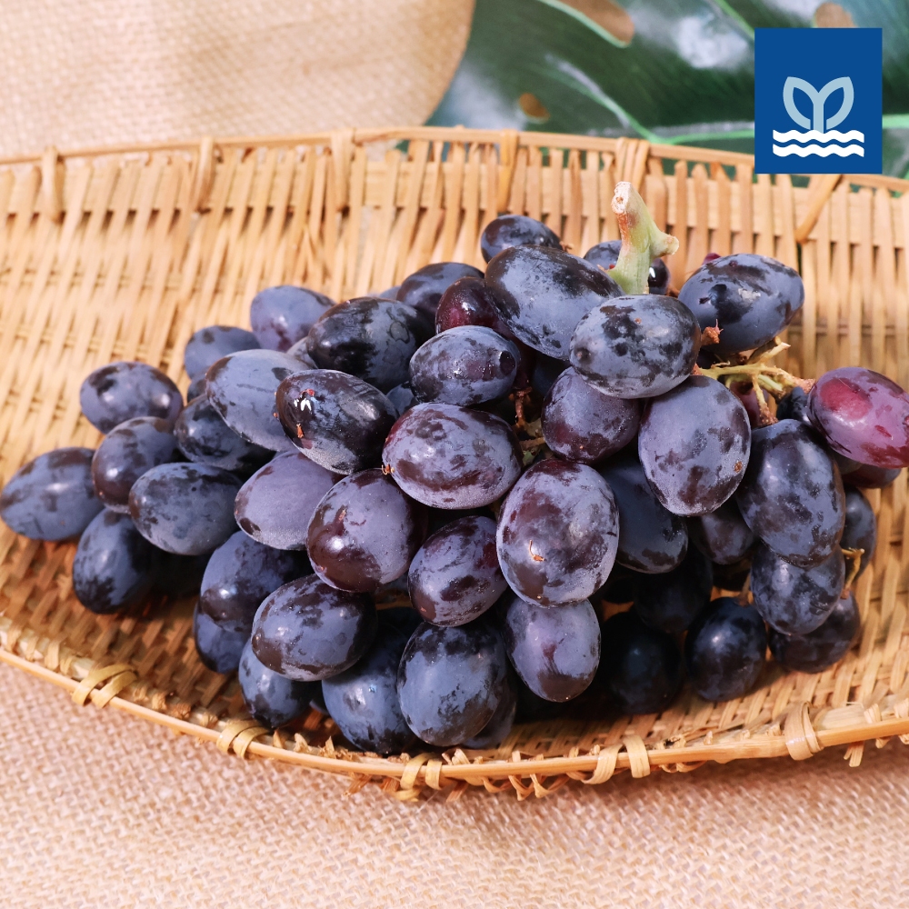 Prime Fresh - USA Black Seedless Grapes | Shopee Singapore
