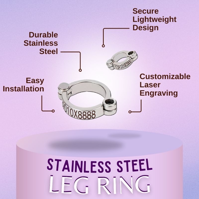 [SG] Avian Oasis Stainless Steel Bird Leg Rings – Durable, Customizable ...