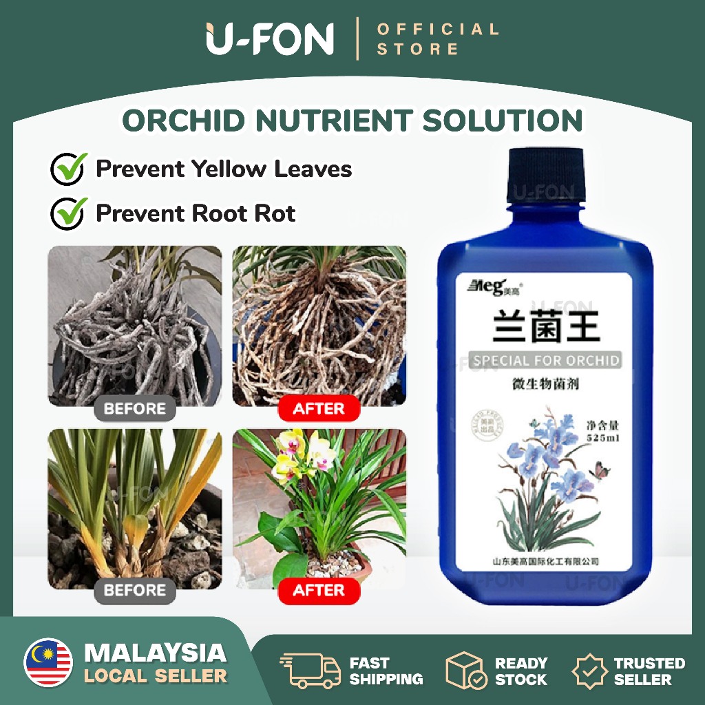 Orchid Special Nutrient Solution Orchid Fertilizer baja orchid Liquid ...