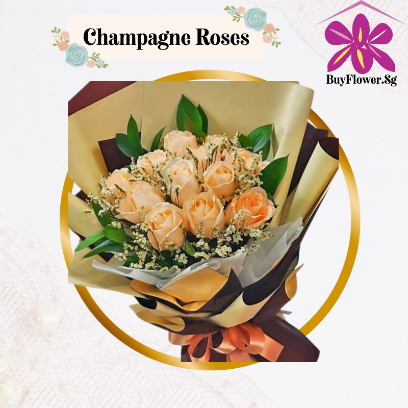 [BuyFlower.sg] Roses Fresh Flowers Hand Bouquet | Anniversary Gift | Birthday | Love| Local ...