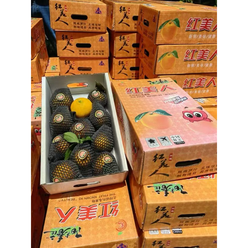 Beauty Orange mandarin tangerine 1.5/box*2box 红美人橙子1.5公斤每箱*2箱 | Shopee ...