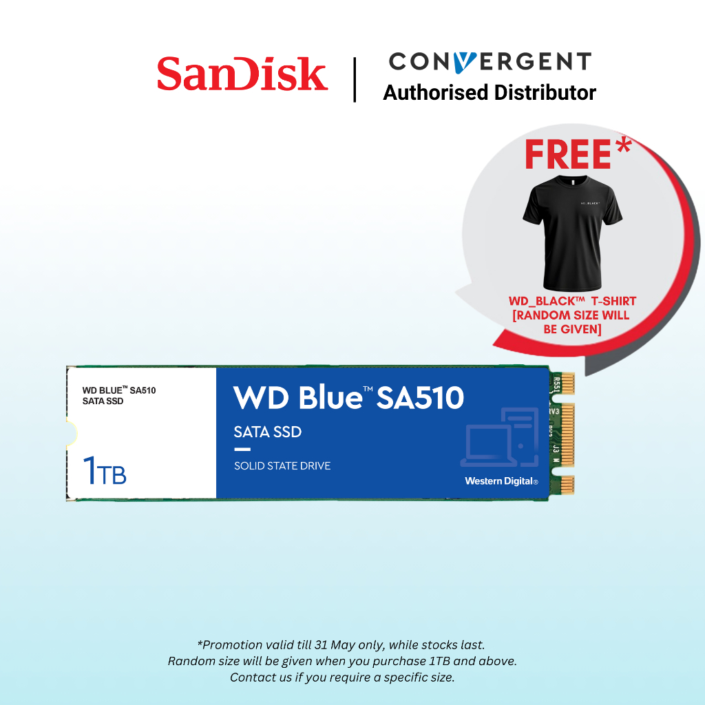 WD Blue® SA510 SATA SSD M.2 2280 [500GB/1TB/2TB] | Shopee Singapore