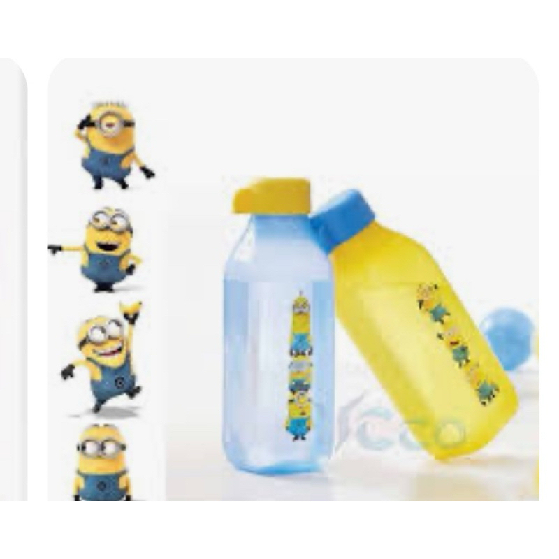 tupperware minion eco bottle 500ml square | Shopee Singapore