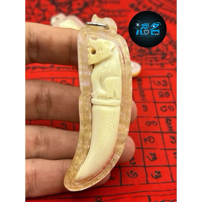 🐘Elephant🦴Carved Tiger🐯Wa Bang Pa (Luang Pu Ben Temple) Newly launched 100% from Luang Pu Ben ...