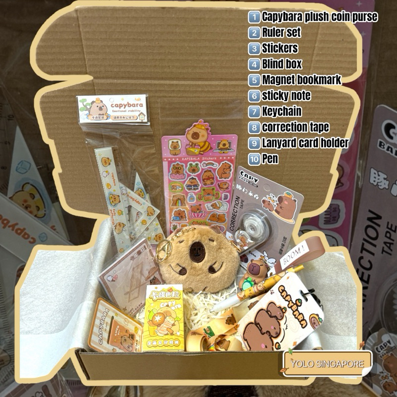 Capybara Surprise Gift Box,Birthday Gift ,children day {local seller ...