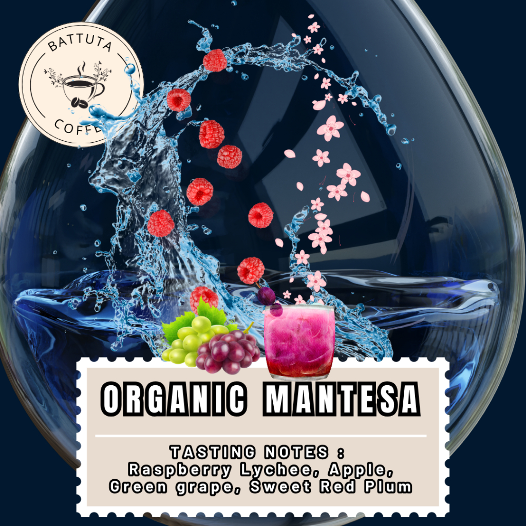 [Battuta Coffee] Organic Mantesa Ozonic Anaerobic Natural Process - 100 ...