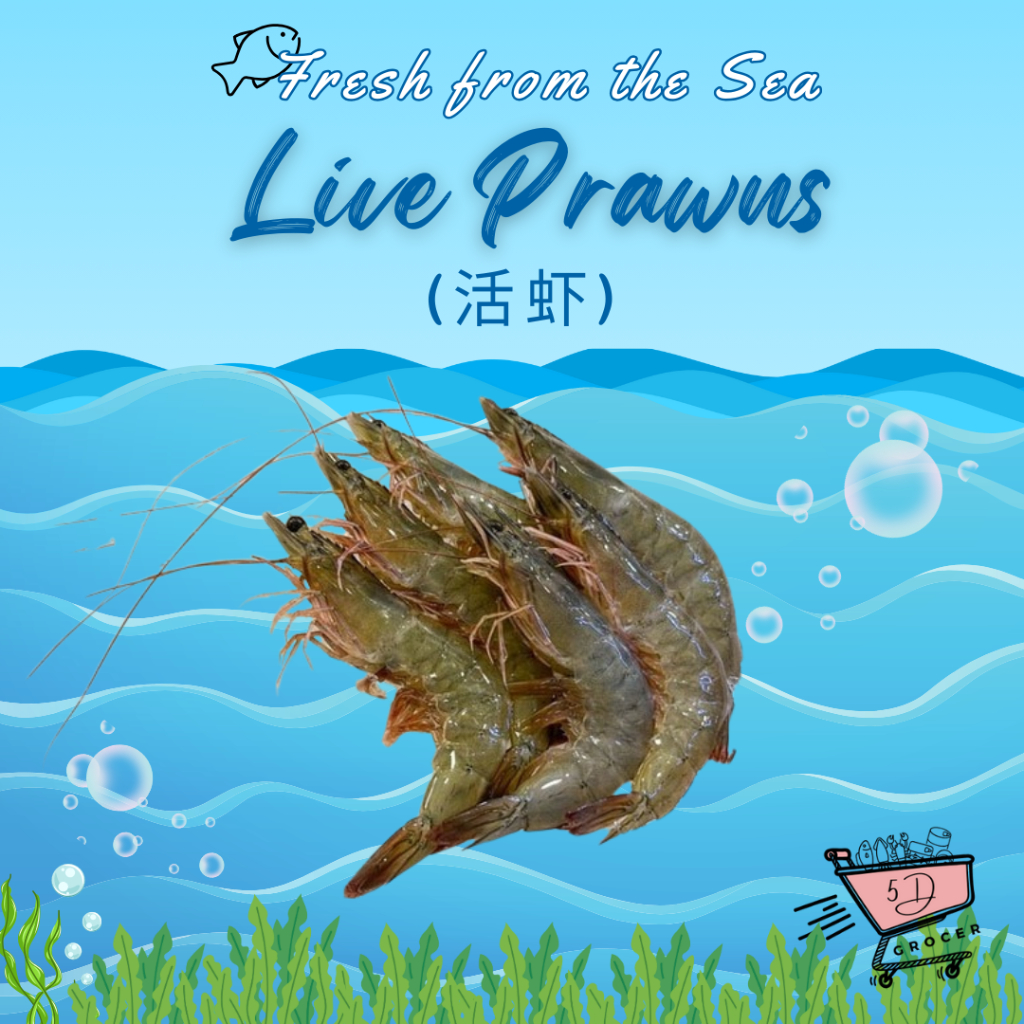 [5D Grocer] Fresh Glass/Live Prawns 活虾 250g/500g | Shopee Singapore