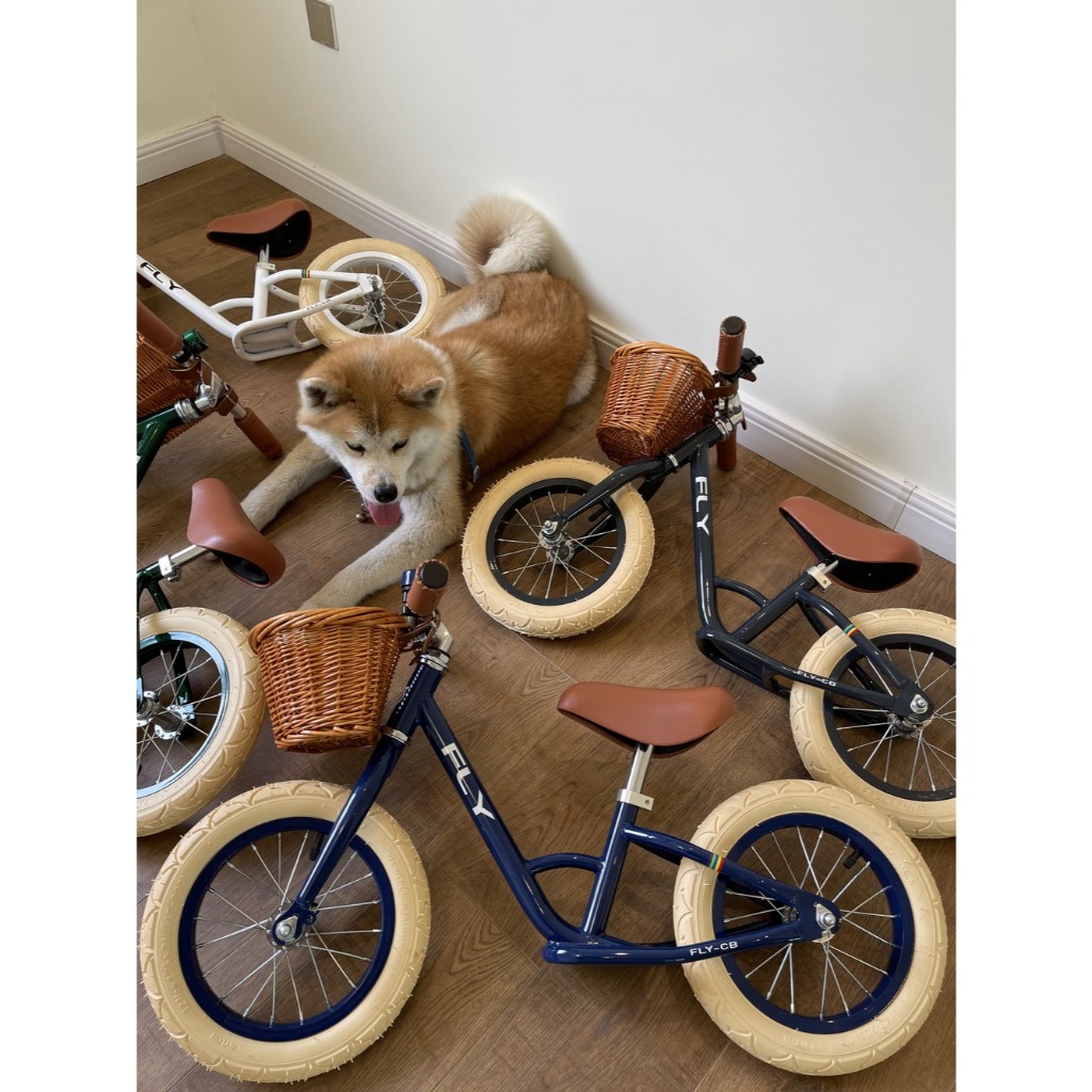 🔥 HACHIKO "LEARN TO FLY" Balance Bicycles for Kids - Suitable for ...