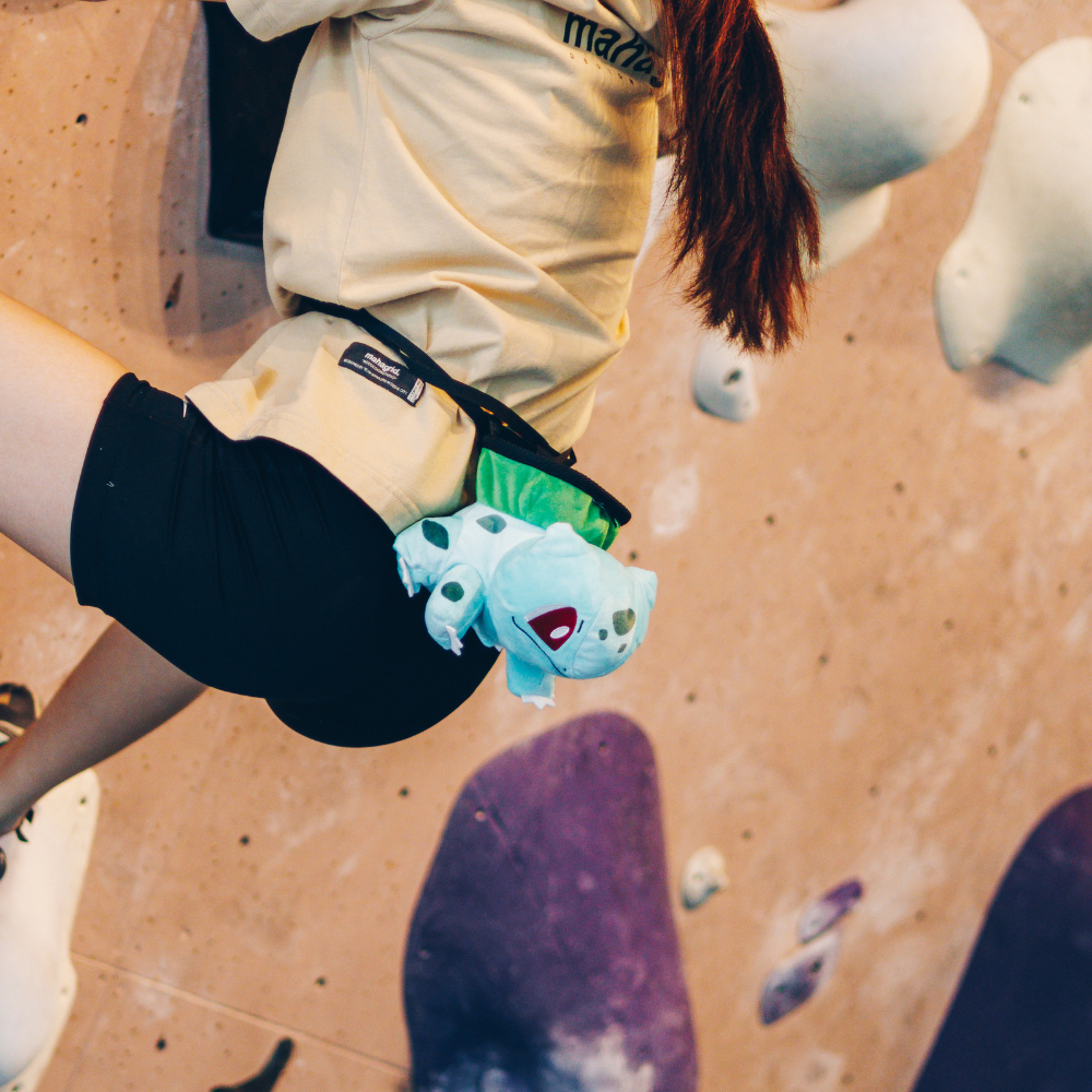 🇸🇬 Bulbasaur Chalk Bag |🚚 shipping by QExpress 1-2 days| for ...