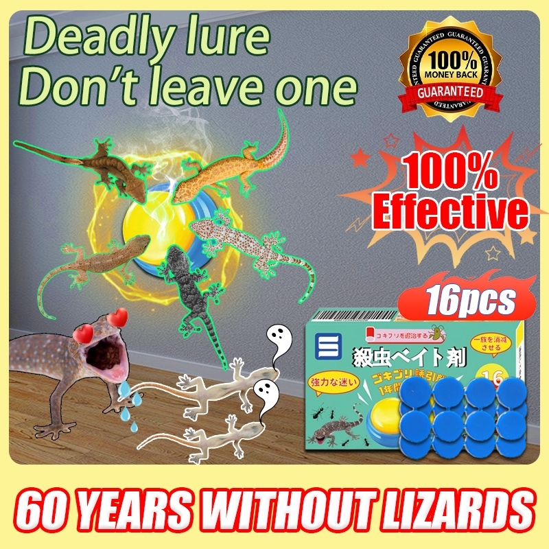 【One box of 16 pcs！】BS Lizard killer Lizard poison Lizard bait No ...