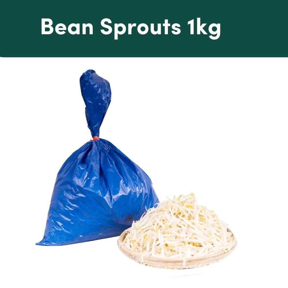 Bean Sprouts (1KG) 豆芽 | Shopee Singapore