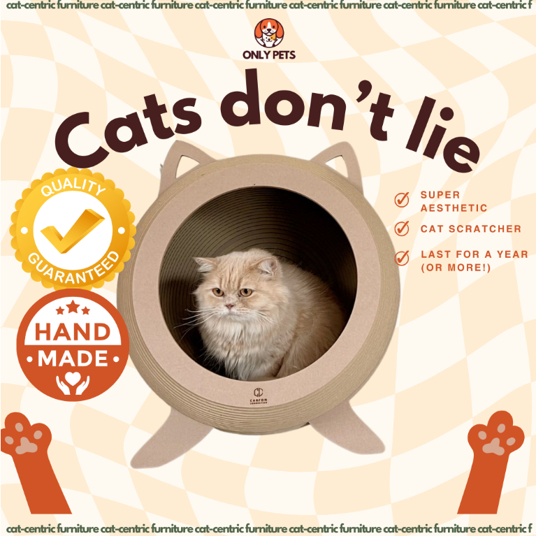 OnlyPets Singapore Durable Cat Scratcher Carton Connection Aesthetic ...