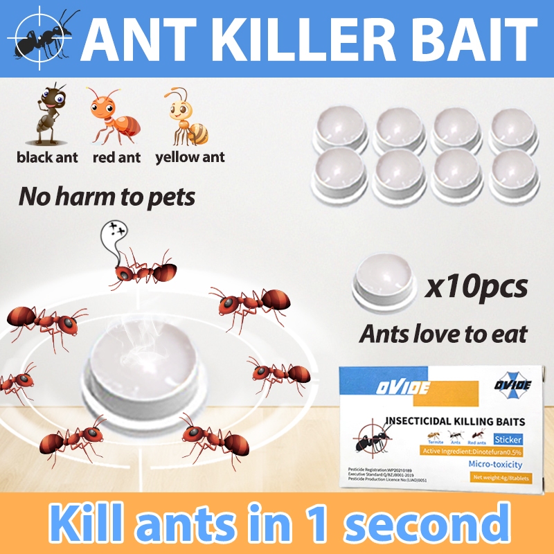Kill ants in 1 second AL ant killer ant killer gel ant gel Quickly kill ...