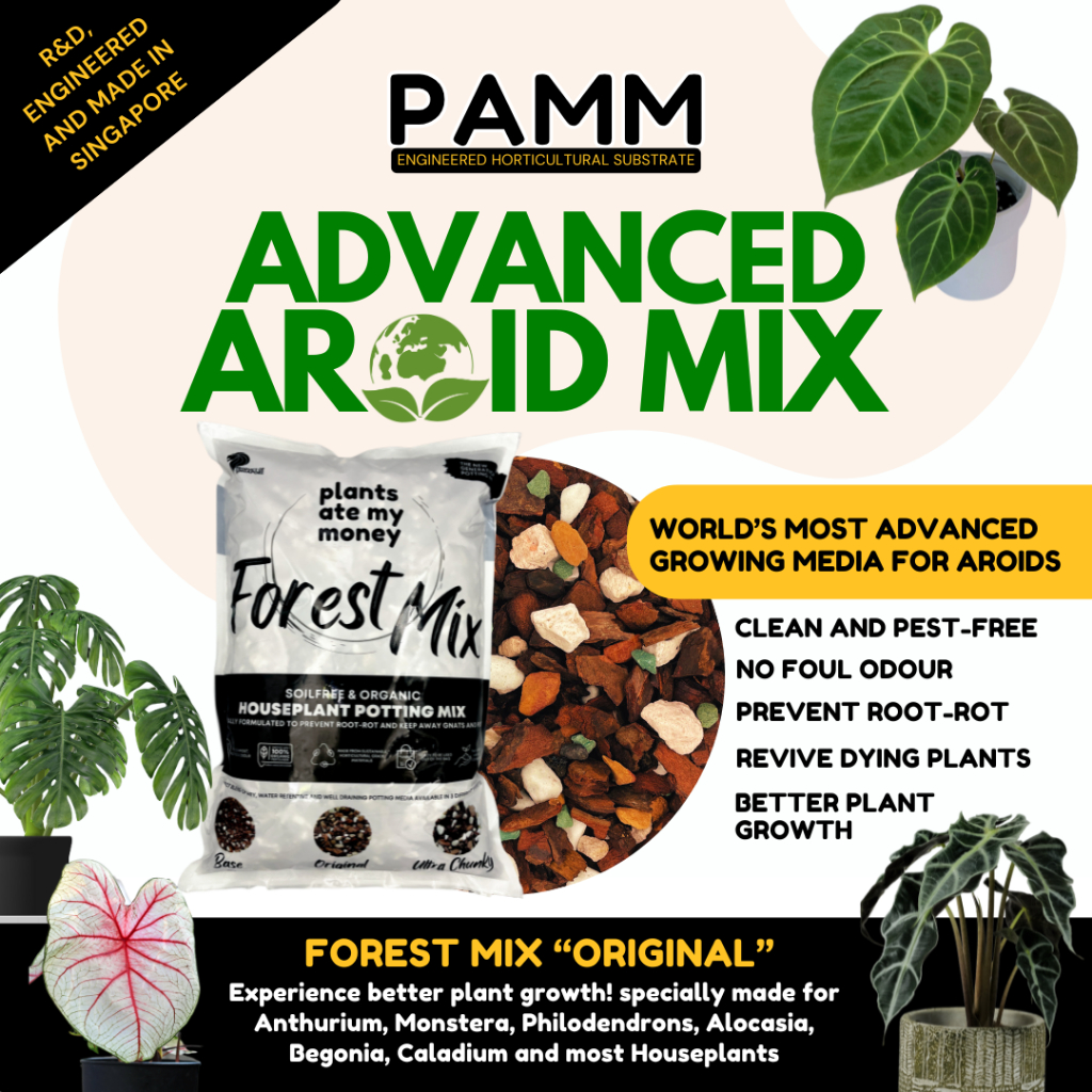 PAMM [ADVANCED AROID MIX] Forest Mix 5L OR TRIO Pack - Ultra Premium ...
