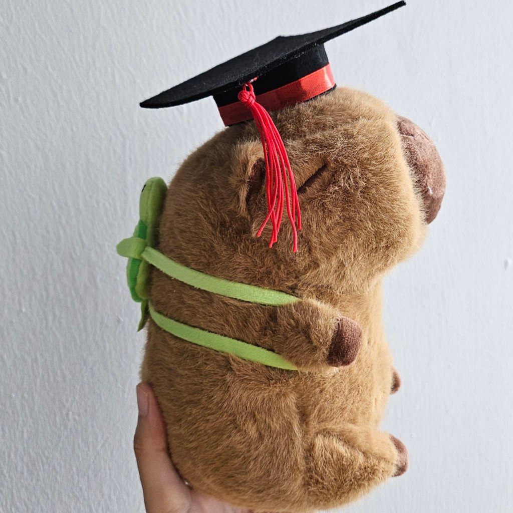[SG SELLER] 22cm Capybara Graduation Plush | Shopee Singapore