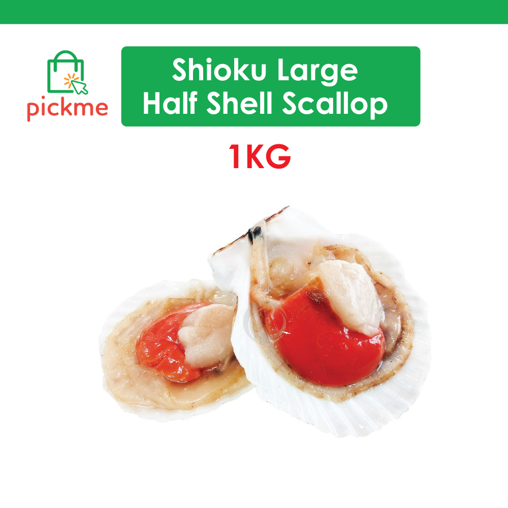 Shioku Large Half Shell Scallop 1kg - Frozen | Shopee Singapore