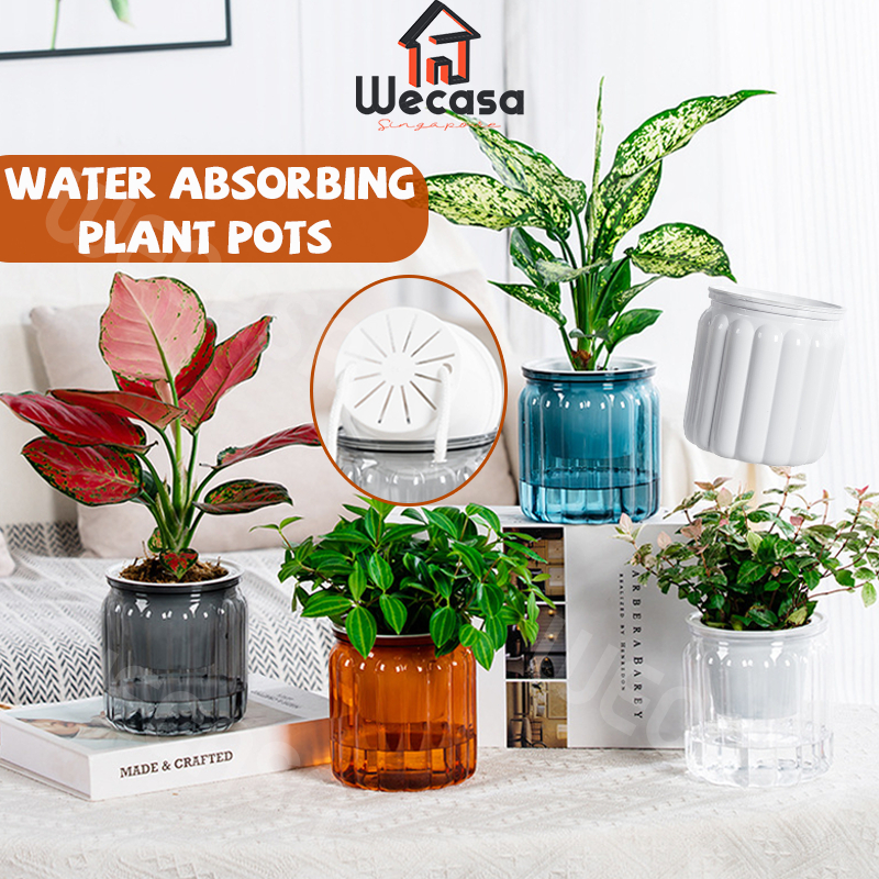 [SG] Plant Pot Self Watering Flower Pot 花盆 Small Plastic Plant Pot For ...