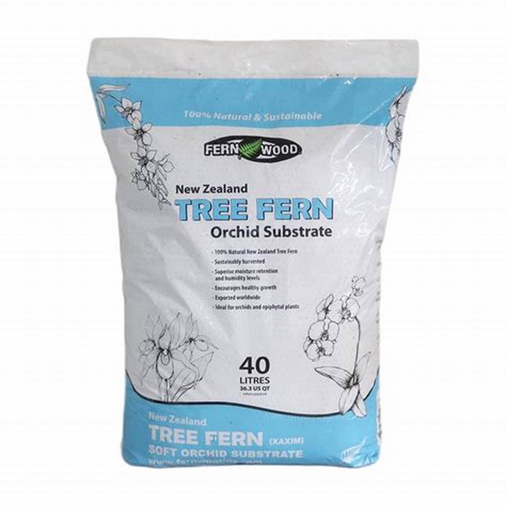 New Zealand Tree Fern Fiber 40L (Free 50ml Neem OIl) Soft Tropical ...