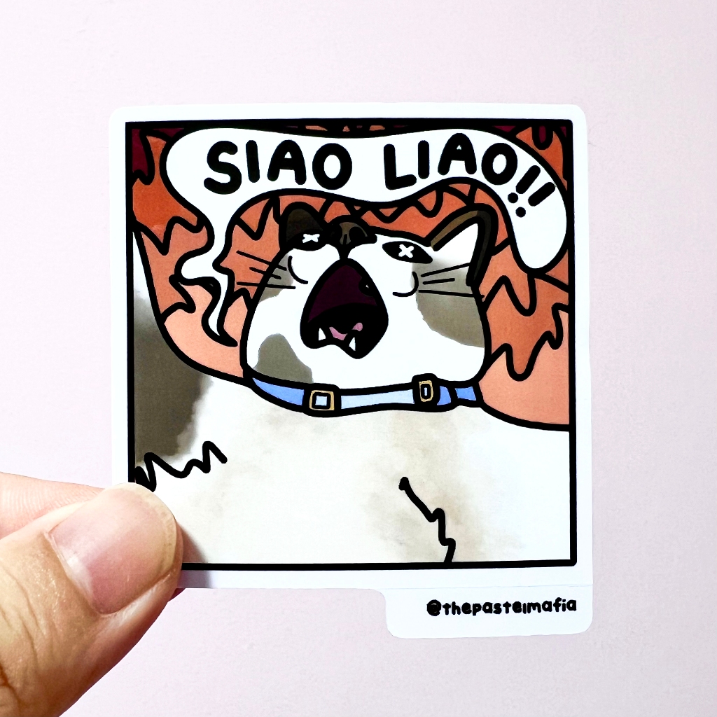 (SG) "siao liao" singlish cat meme waterproof vinyl sticker (1 Piece ...