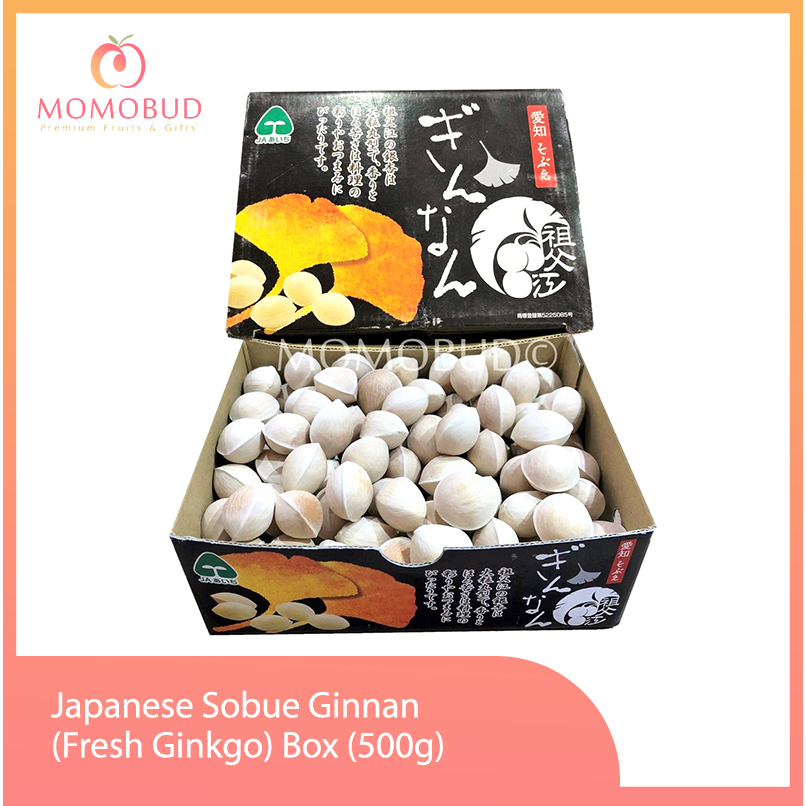 Japanese Sobue Ginnan (Fresh Ginkgo) Box (500g) | Shopee Singapore