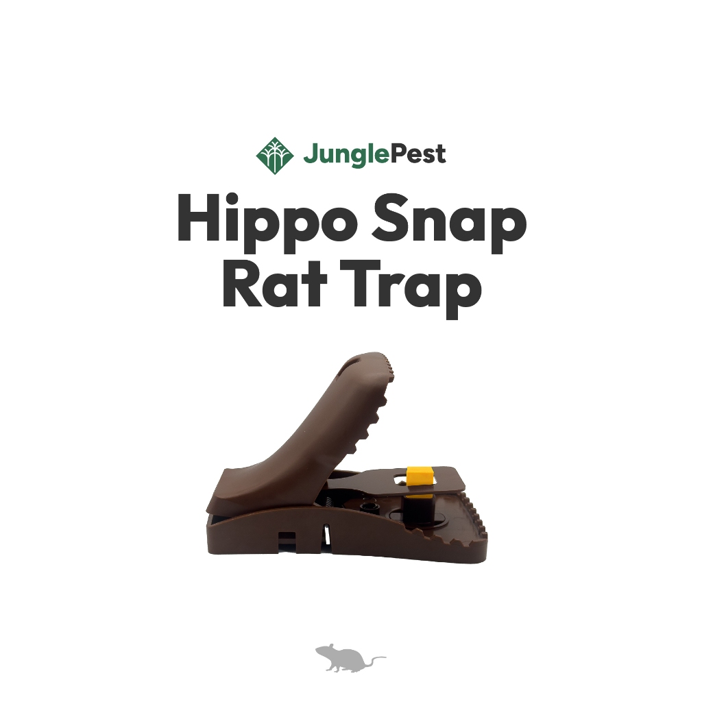 [Buy 2 Free 1 Bundle] Hippo Snap Trap Rat Trap | Reusable INSTANT KILL ...