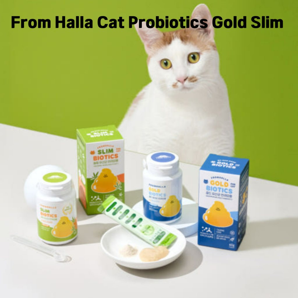 From Halla Cat Probiotics Gold Slim 60g – Gut Health, Immunity & Weight ...