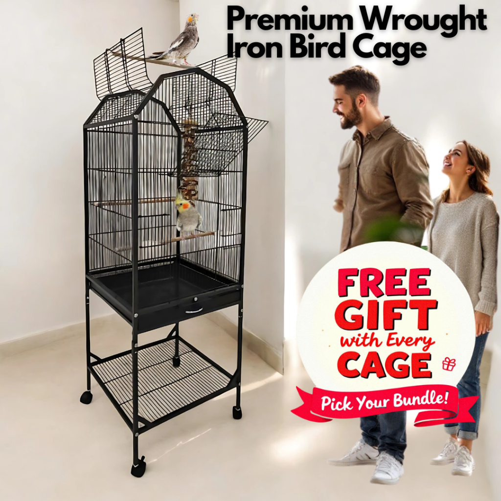 Bird Cage -Premium Wrought Iron Parrot Cage | Mid Size B (96cm) & Tall ...