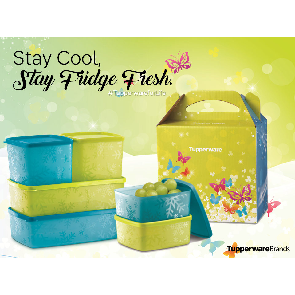 Tupperware Fridge Buddy Snowflake Square Round and Rectangular Food ...