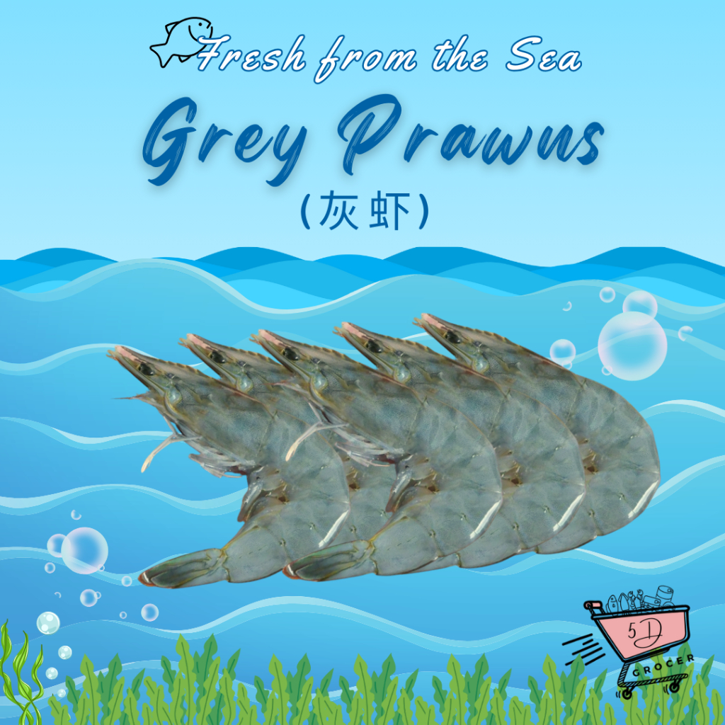 [5D Grocer] Fresh Grey Prawns 灰虾 250g/500g | Shopee Singapore