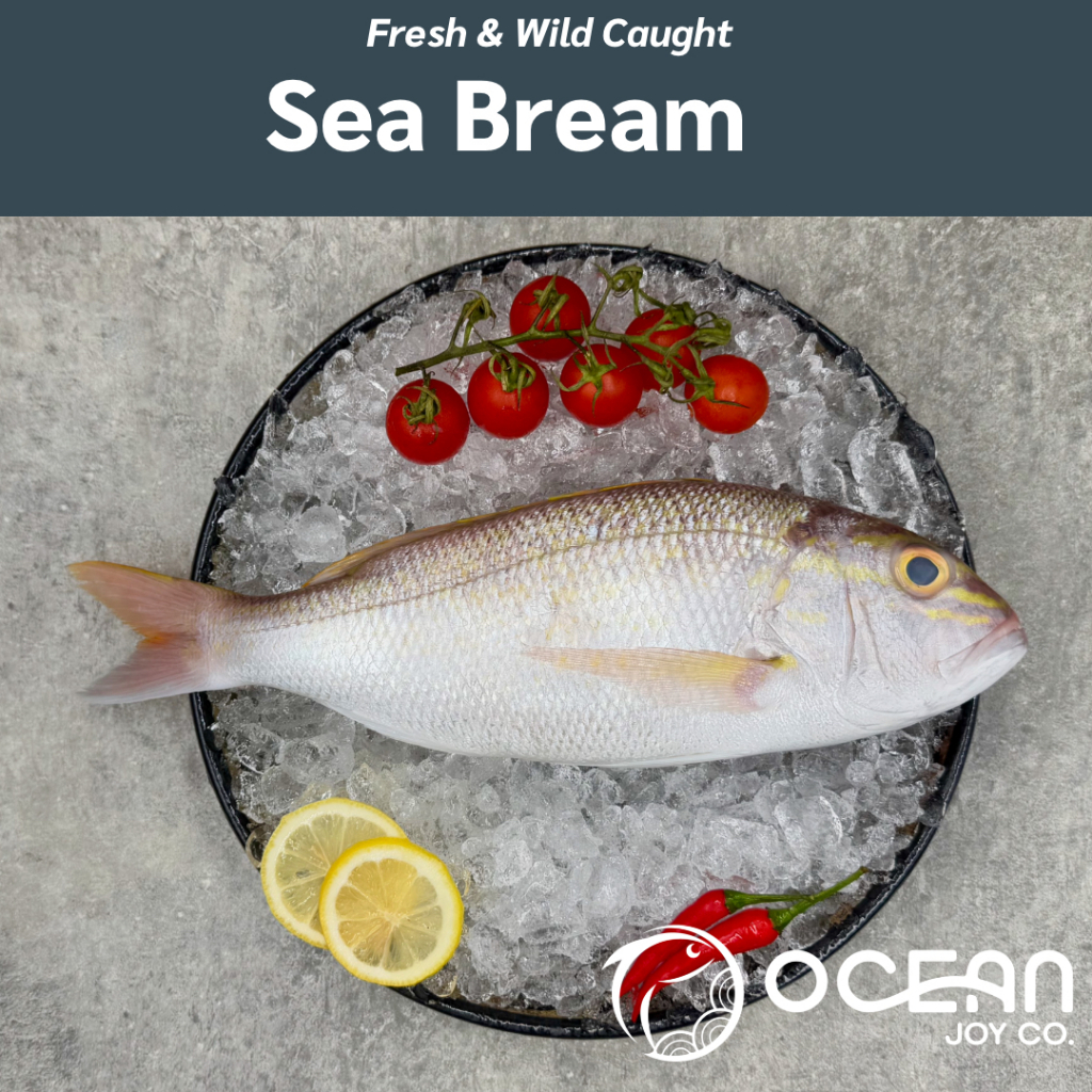 OceanJoy Fresh & Wild Caught Sea Bream 紅戈里 (Whole/Fillet/Slice/Head ...