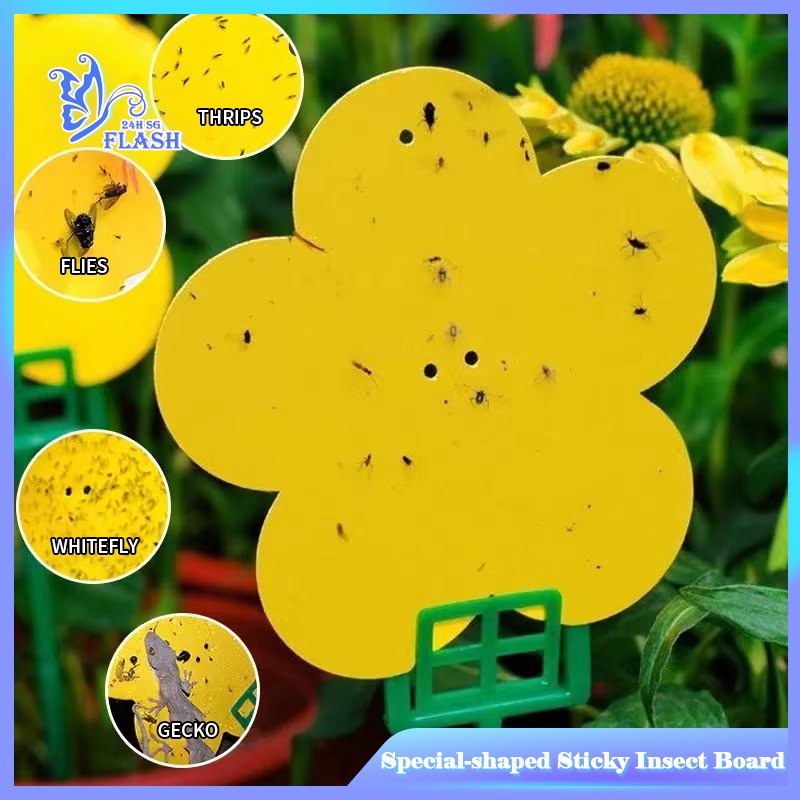 ⚡SG HOT SALE⚡Insect Sticky Trap Double-sided Yellow Flies Sticky Board ...