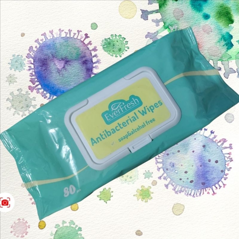 (Bundle Of 12,6) Everfresh Antibacterial Wet Wipes / Wet Wipe Tissue ...