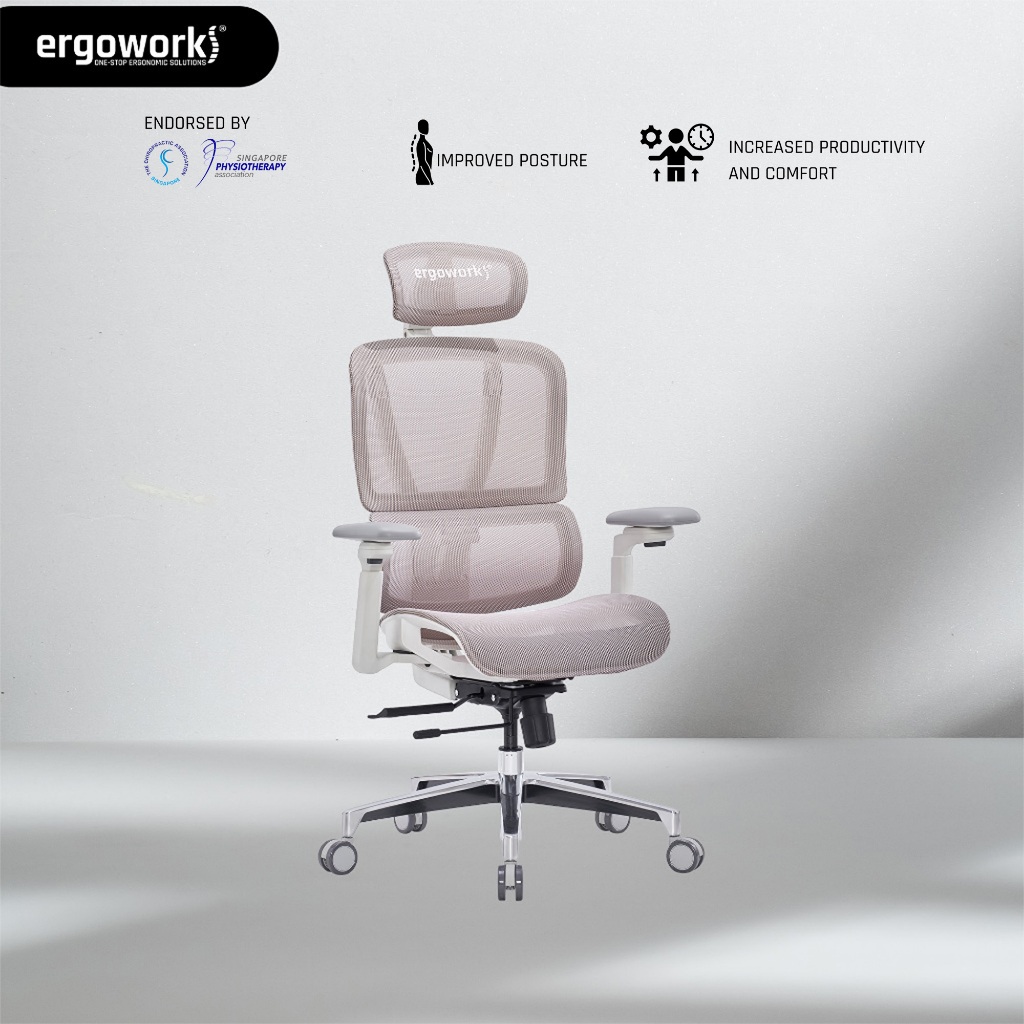 Ergoworks Chair – Truly Airflex Ergonomic Chair | Shopee Singapore
