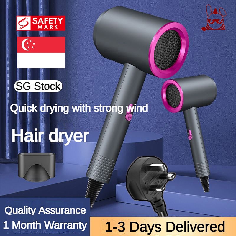 【SG】Electric Hair Dryer Strong Wind Super Fast Dry Hair Dryer SG 3-pin ...