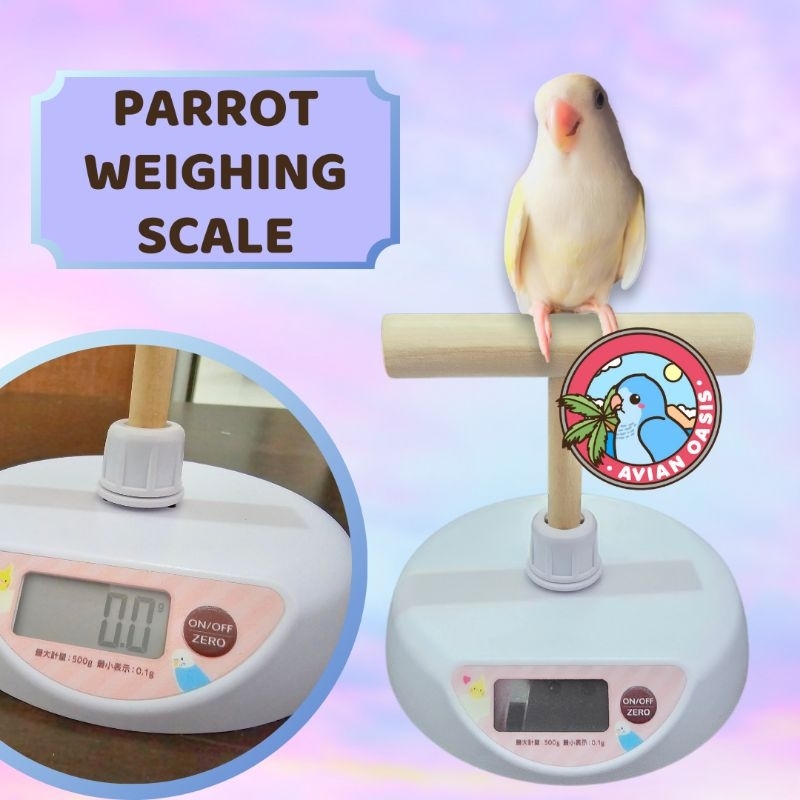 Avian Oasis Parrot Weighing Scale for Small Birds Lovebirds Cockatiels ...