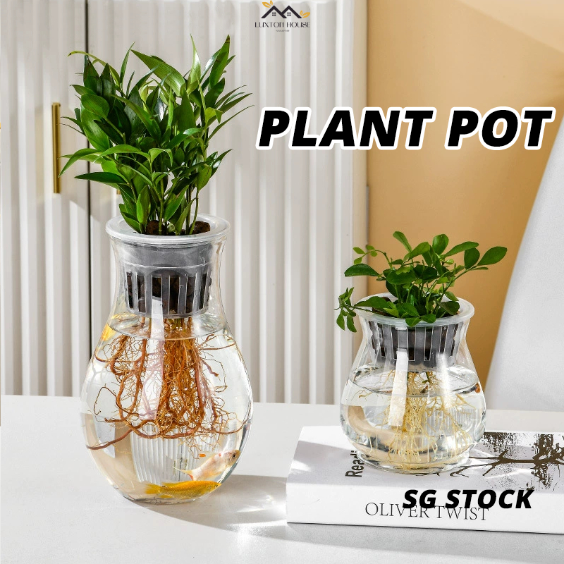 {SG} Transparent Plant Pot Self Watering Plant Pot Hydroponic Pot ...