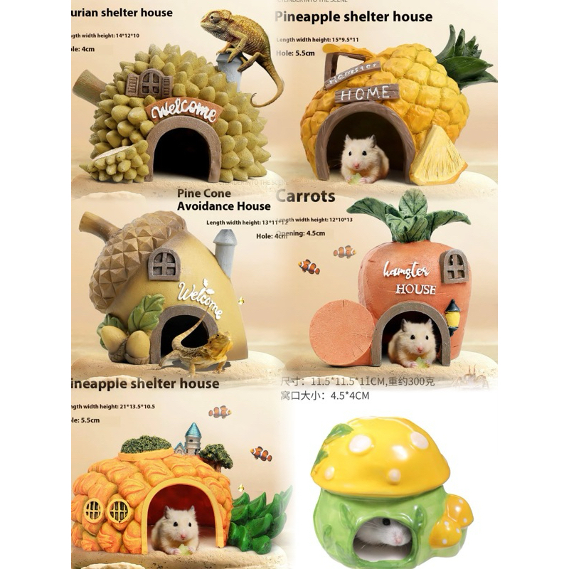 Crawling pets houses, guarding ，creating landscapes with reptiles ...