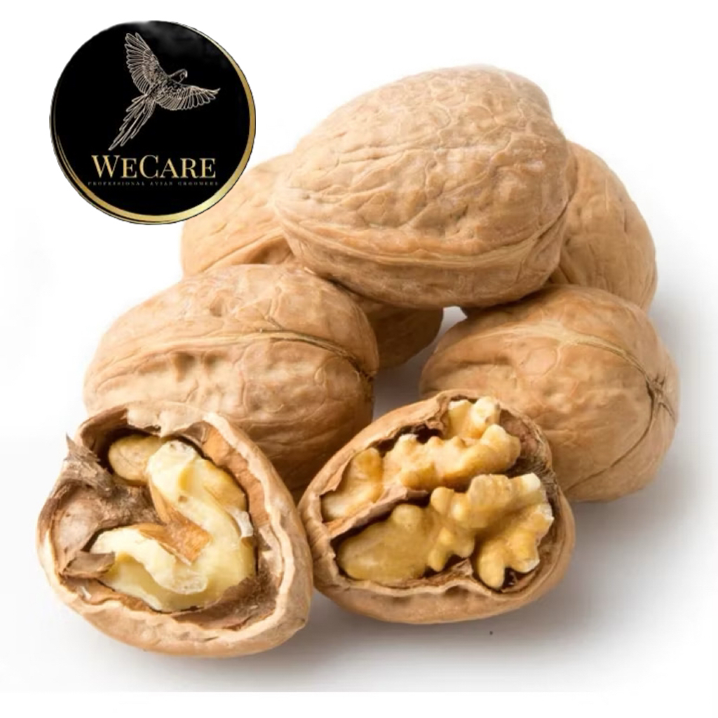 US Raw walnuts in shell *HUMAN-GRADE* | Shopee Singapore