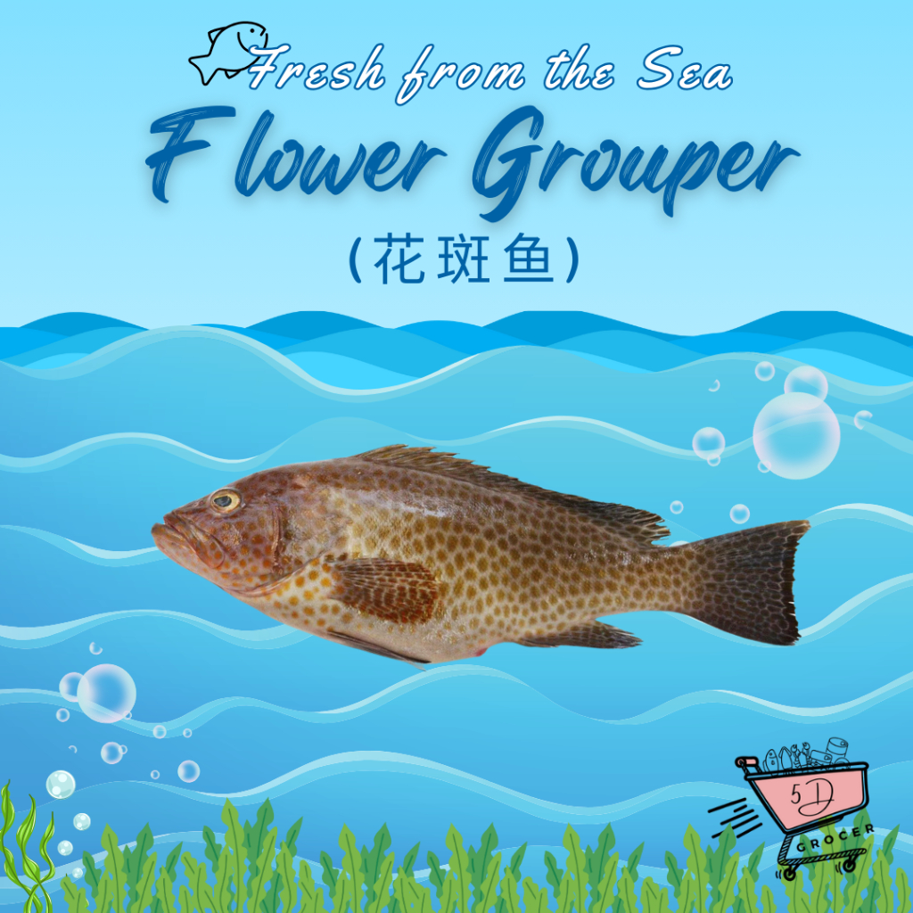 [5D Grocer] Fresh Flower Grouper 花斑鱼 450g/900g | Shopee Singapore