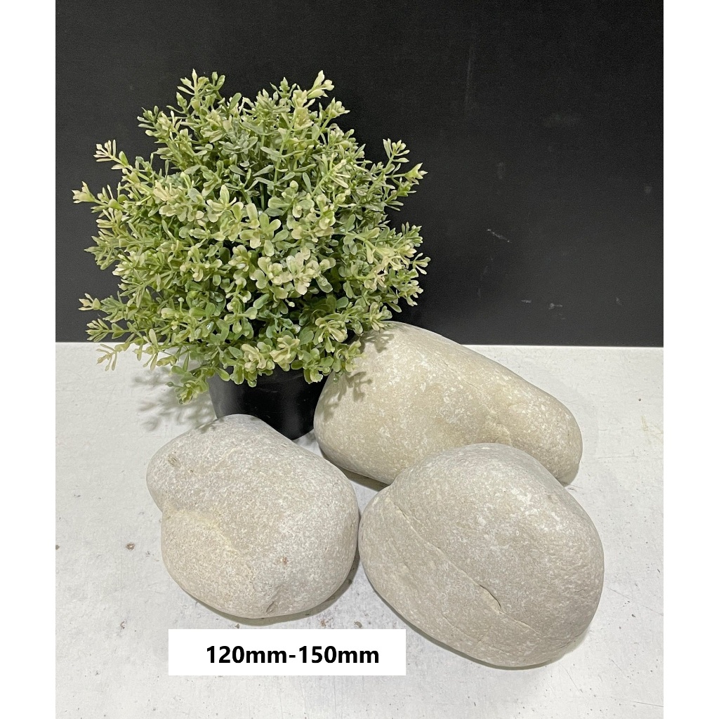 Grey Spotted Pebble Tan Grey Rock 1piece Size About 120-150mm | Shopee ...