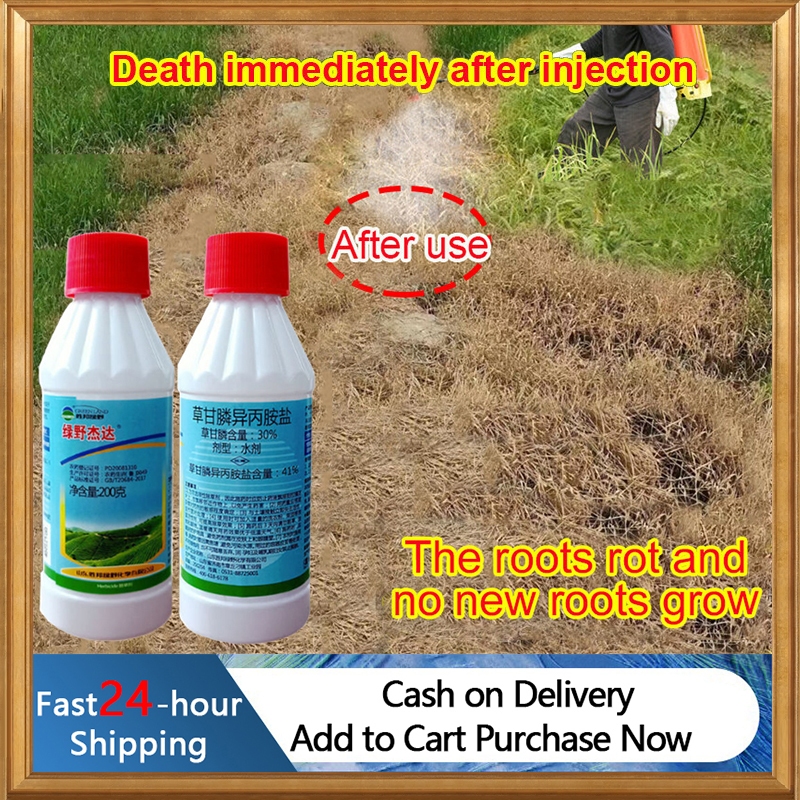 Buy 1 Get 1 【1Drop Kills a Century-Old Tree】 Tree Killer Poison Dead ...