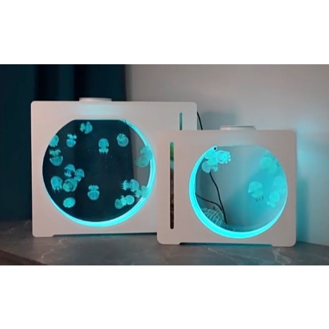 Kreisel design tank / Nano reef freshwater reef breeding jellyfish tank ...