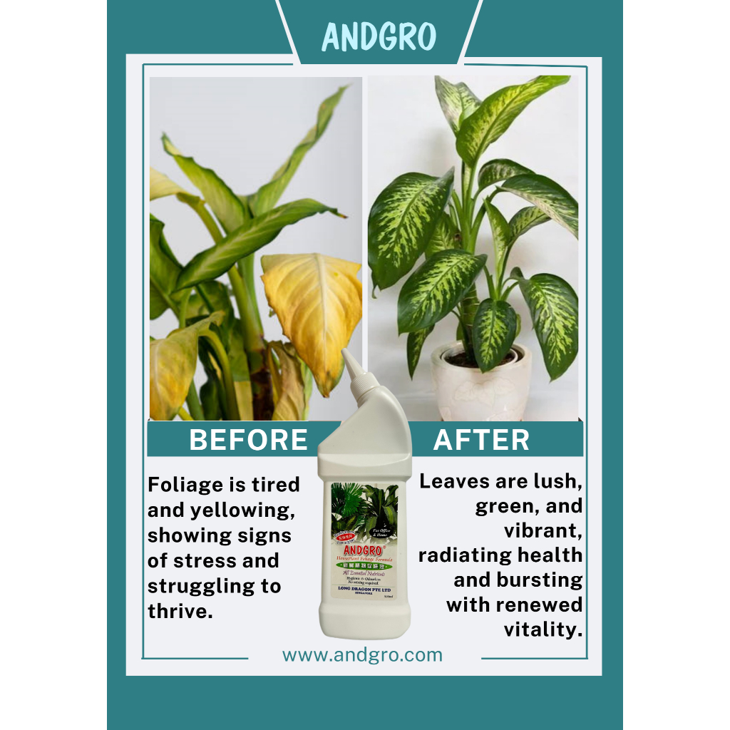 Andgro Houseplant Foliage Formula | Shopee Singapore