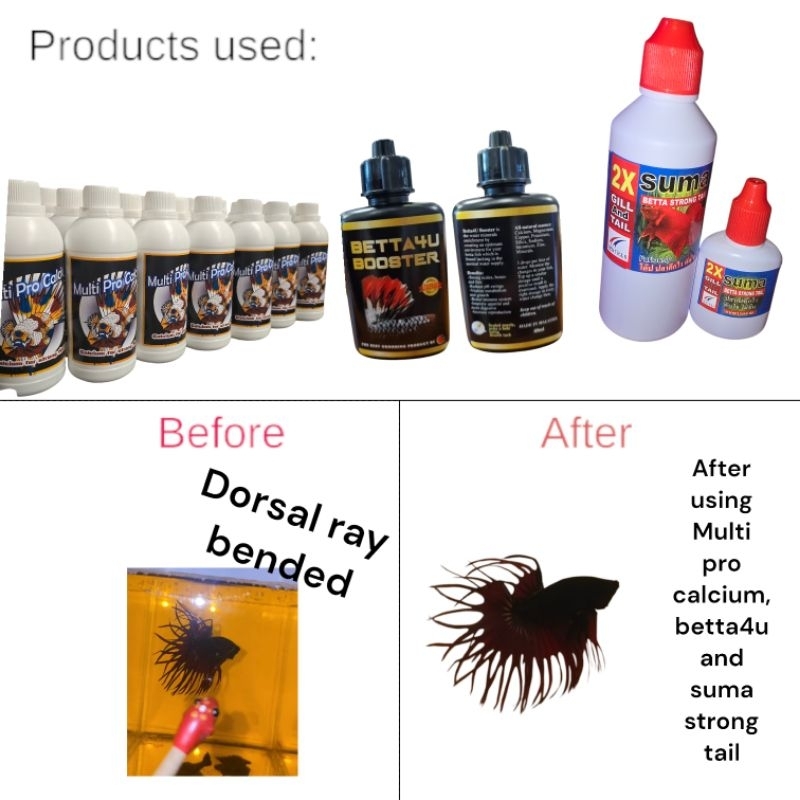 Multi Pro Calcium drop & Multi Pro betta pellets. Trusted by Sg and ...