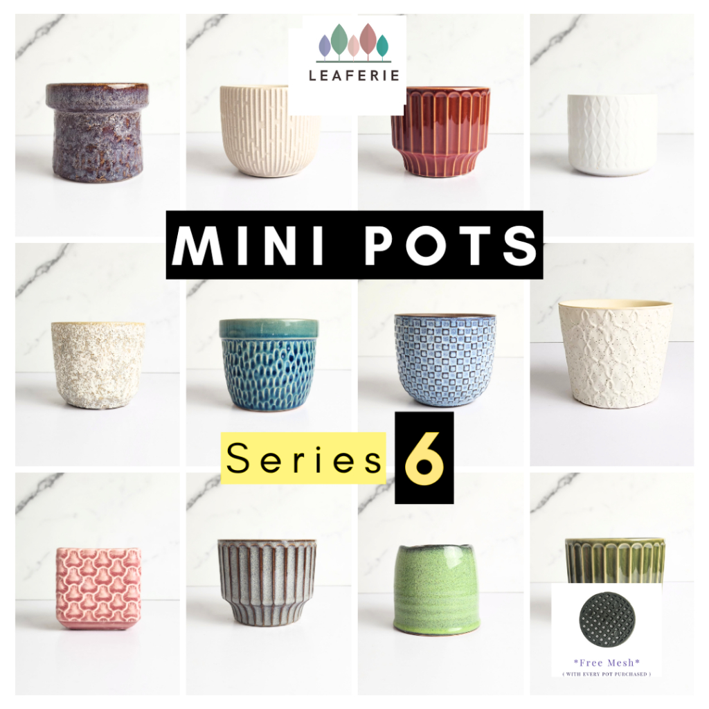 The Leaferie Mini Pot (Series 6) . Small Petit Plant pot . Ceramic ...