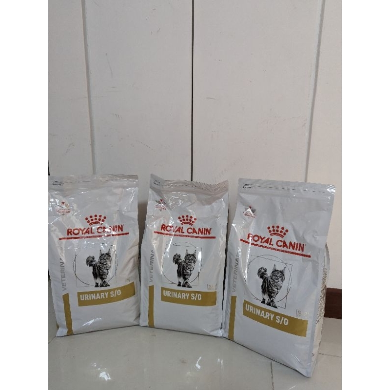 Royal Canin Urinary S/O 3.5kg Dry Kibble for Cat | Expiry Jan 2026 ...